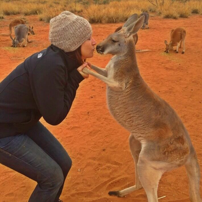 Every Morning Rescued Kangaroo Shows Humans How Much She Appreciates ...